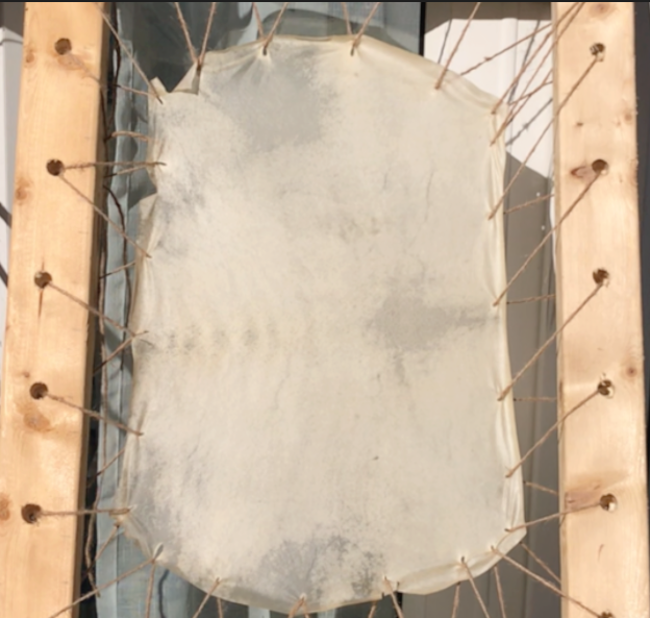 Goatskin in the garden: how does it feel to prepare your own parchment ...